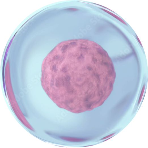 We are a highly focused team. We are nimble and efficient. We pioneer ...