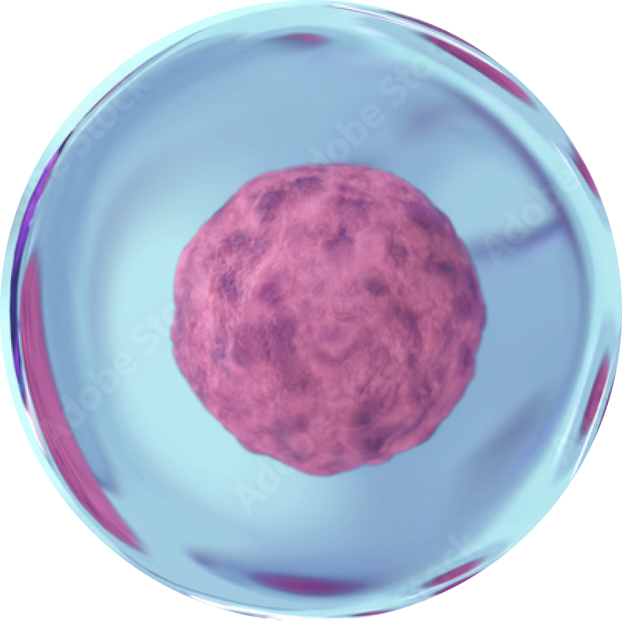 We are a highly focused team. We are nimble and efficient. We pioneer ...