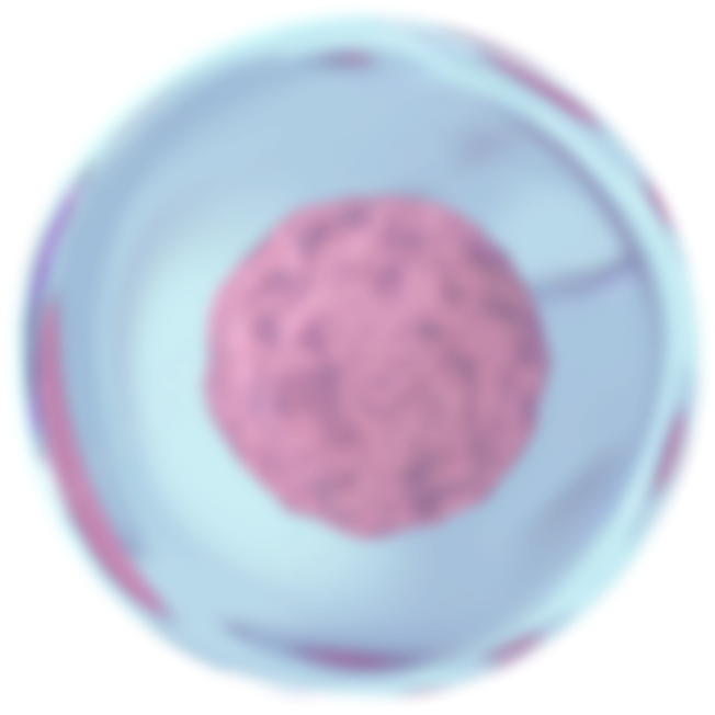 We are a highly focused team. We are nimble and efficient. We pioneer ...