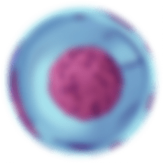 We are a highly focused team. We are nimble and efficient. We pioneer ...