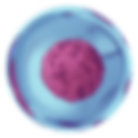 We are a highly focused team. We are nimble and efficient. We pioneer ...