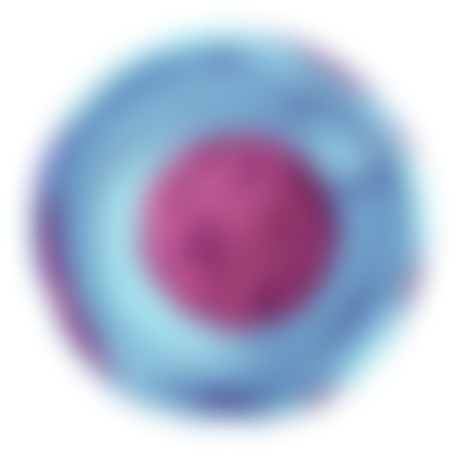 We are a highly focused team. We are nimble and efficient. We pioneer ...